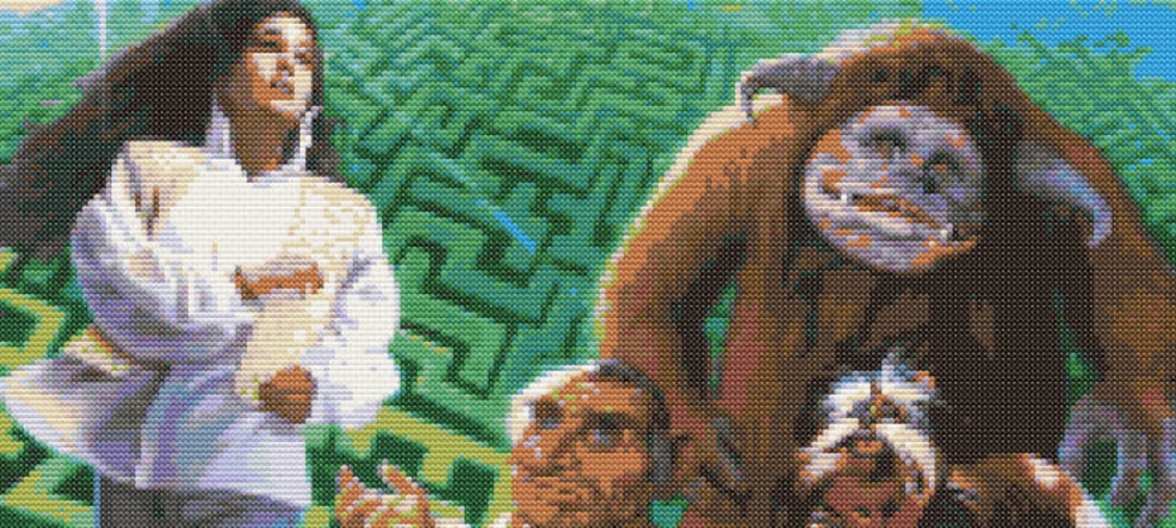 Sarah and Ludo, Labyrinth Cross Stitch Pattern 18000 Stitches, 200 X 90 ...