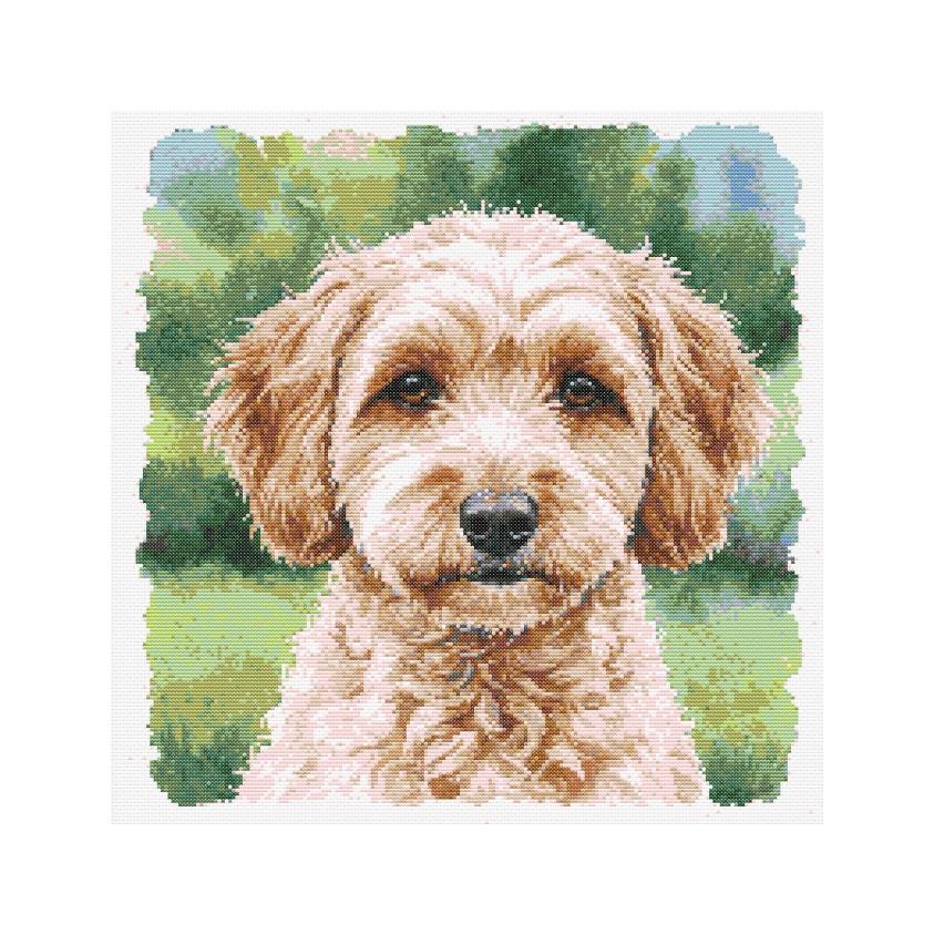 Labradoodle Watercolor Cross Stitch Pattern - Design Size: 200 X 200 ...