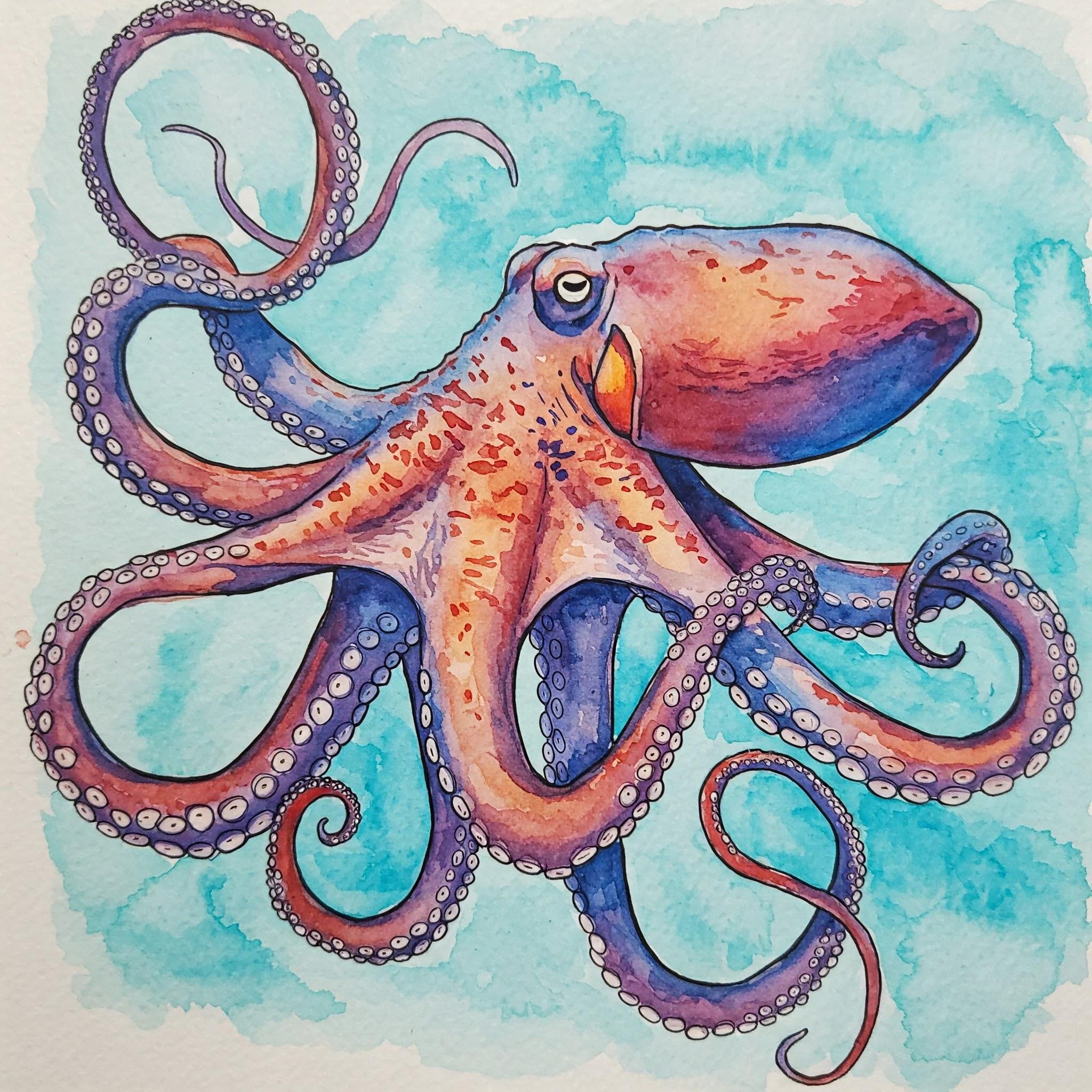 Octopus Watercolor Cross Stitch Pattern - Design Size: 200 X 200 ...