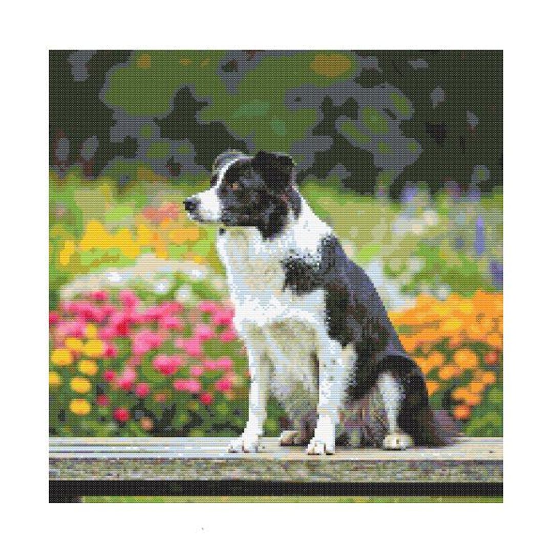 Border Collie Cross Stitch Pattern PDF Border Collie Embroidery PDF ...