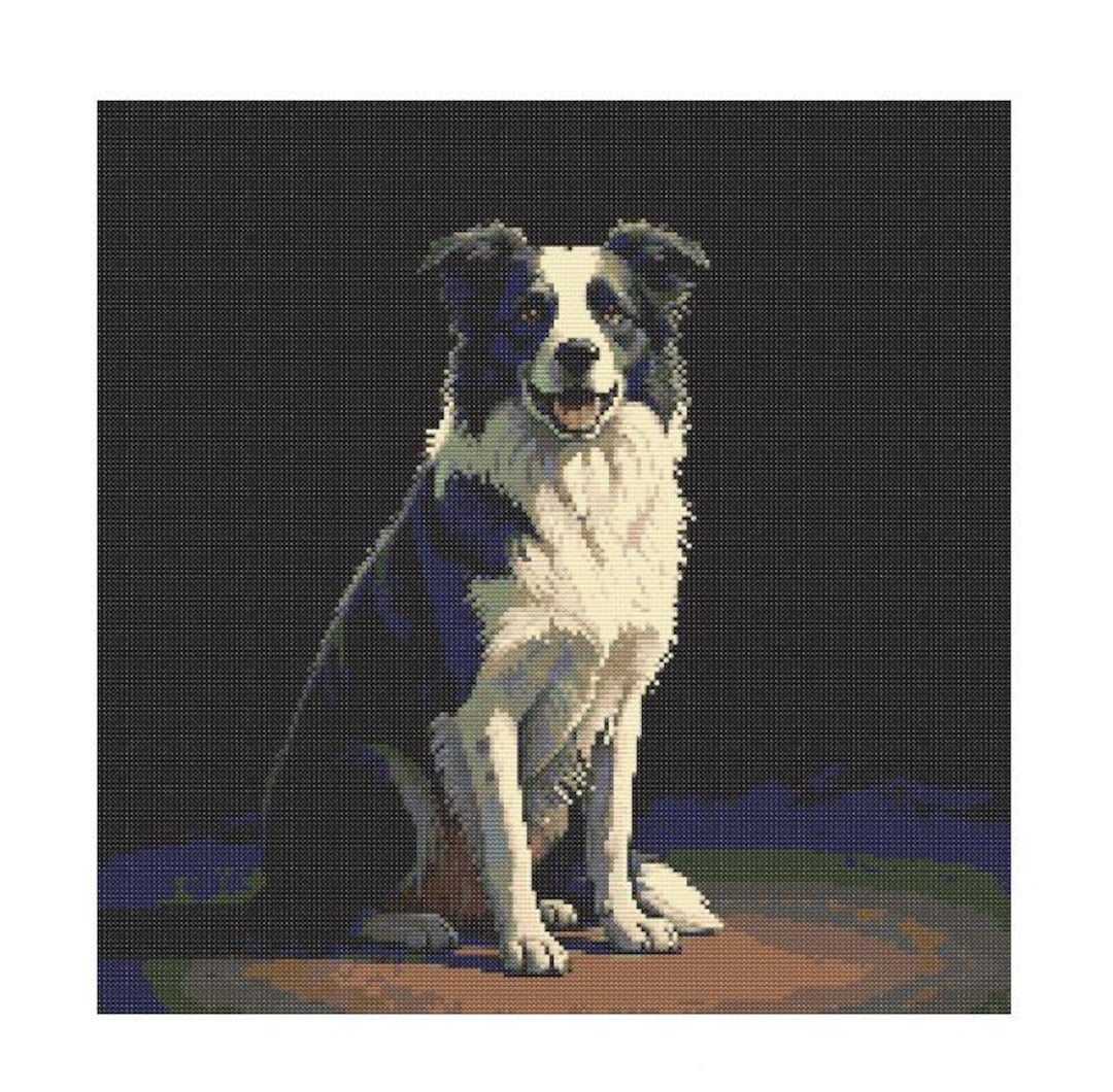 Border Collie Cross Stitch Pattern: Dog Portrait (PDF Pattern) - Etsy