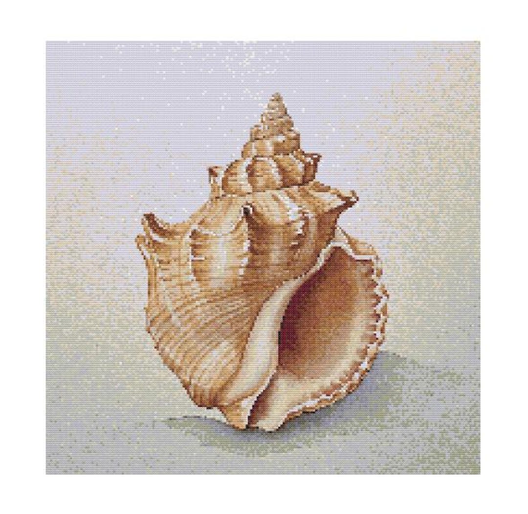 Seashell Watercolor Cross Stitch Pattern Design Size: 200 X 200 ...