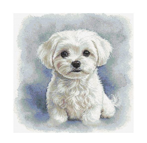 Maltipoo Watercolor Cross Stitch Pattern - Design Size: 200 X 200 ...