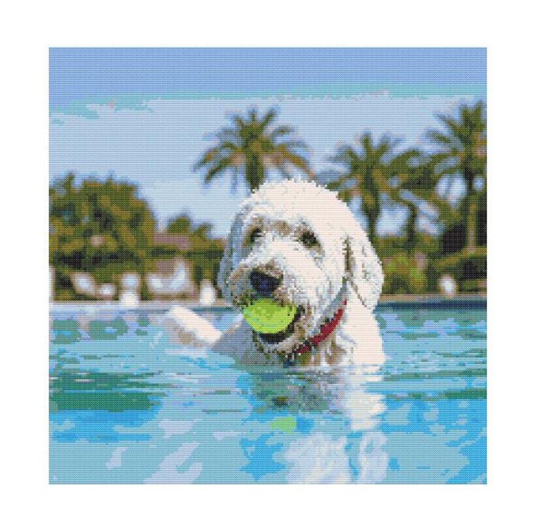 Labradoodle in Pool Cross Stitch Pattern - Design Size: 200 X 200 ...