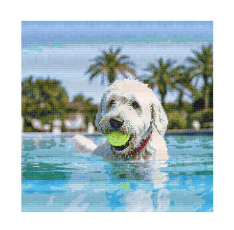 Labradoodle in Pool Cross Stitch Pattern - Design Size: 200 X 200 ...