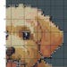 Labradoodle Dog Cross Stitch Pattern - Design Size: 160 X 160 Stitches ...