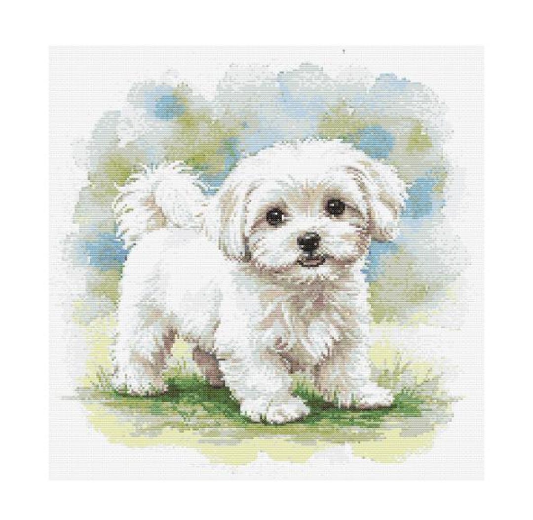 Maltipoo Watercolor Cross Stitch Pattern - Design Size: 200 X 200 ...
