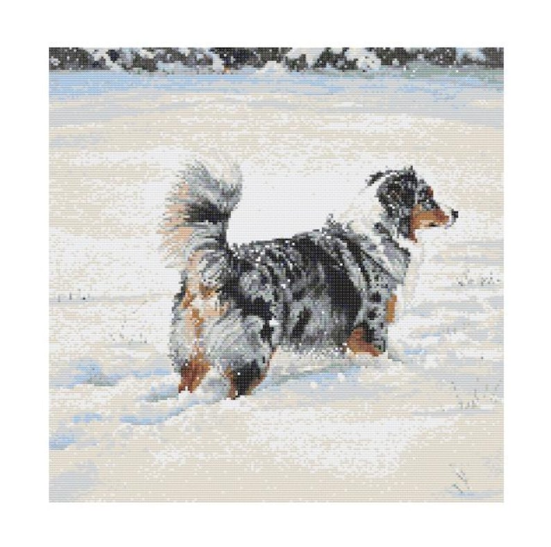 Australian Shepherd Cross Stitch Pattern - Design Size: 200 X 200 ...