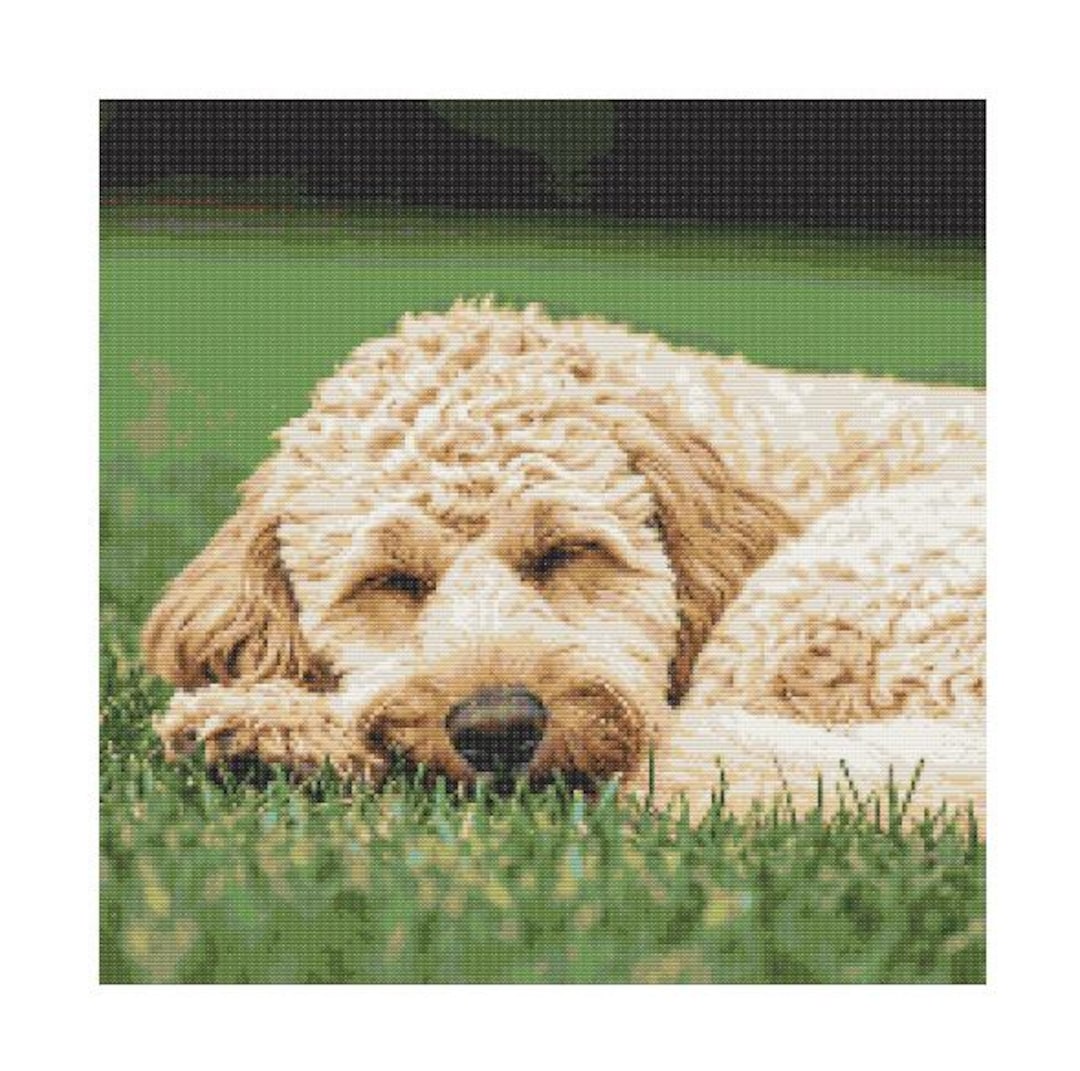 Labradoodle Sleeping in the Grass Cross Stitch Pattern - Design Size ...