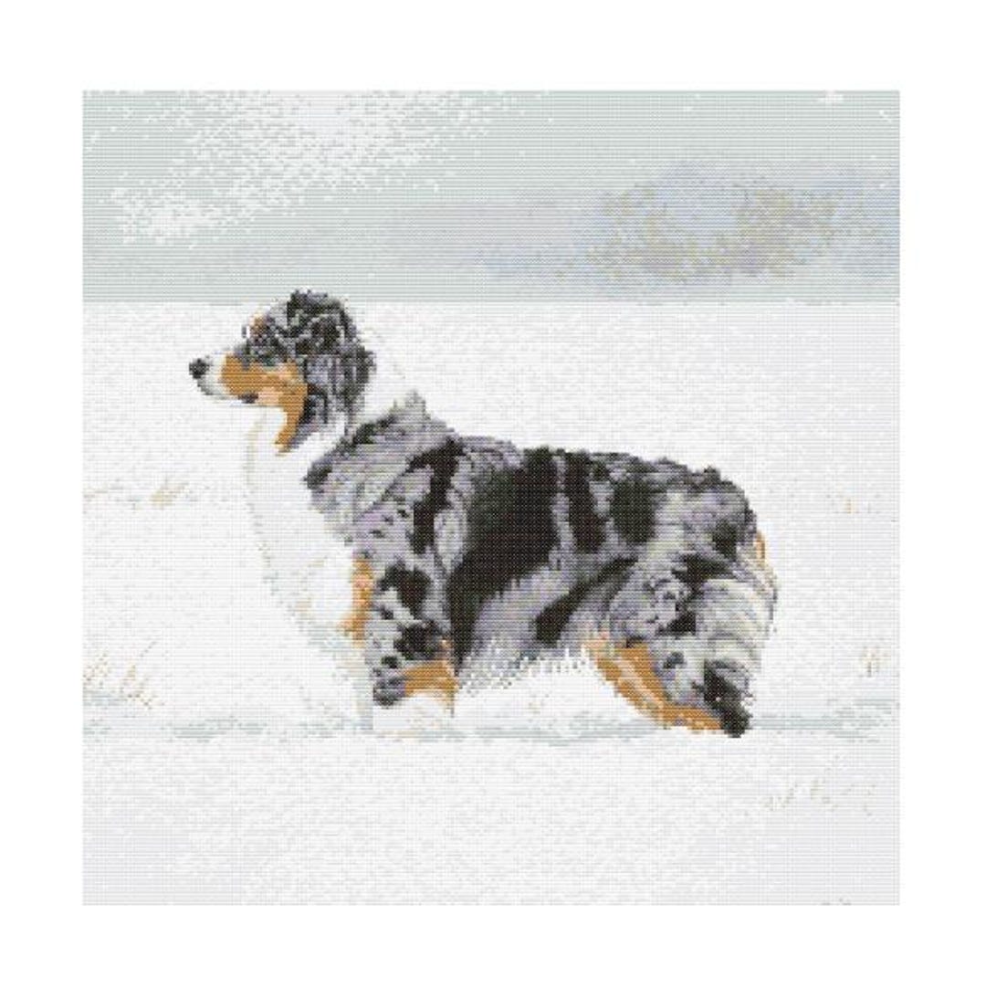 Australian Shepherd Cross Stitch Pattern - Design Size: 200 X 200 ...