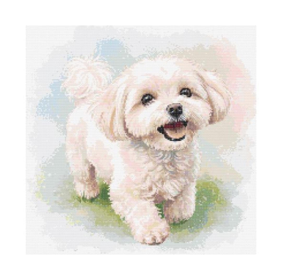 Maltipoo Watercolor Cross Stitch Pattern - Design Size: 200 X 200 ...