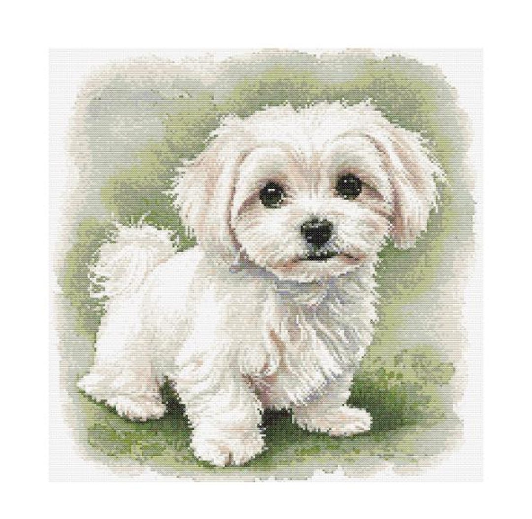 Maltipoo Watercolor Cross Stitch Pattern - Design Size: 200 X 200 ...