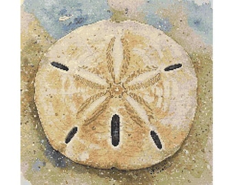 Sand Dollar Cross Stitch Pattern - Design Size: 200 X 200 Stitches - Etsy