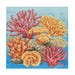 Ocean Coral Watercolor Cross Stitch Pattern - Design Size: 200 X 200 ...