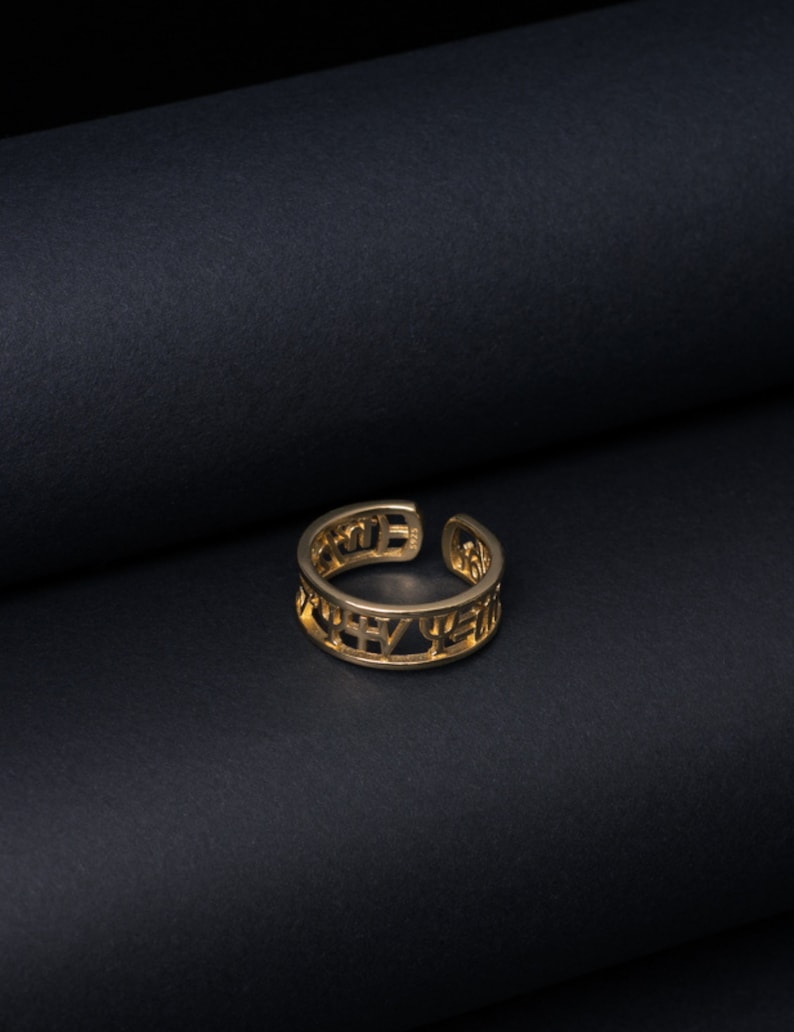 Schrödinger Equation Ring: 14K Gold-plated Sterling Silver Science ...