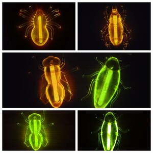 Kids Halloween Glow Critters Party Favors, Halloween Party Favors, 1 ...