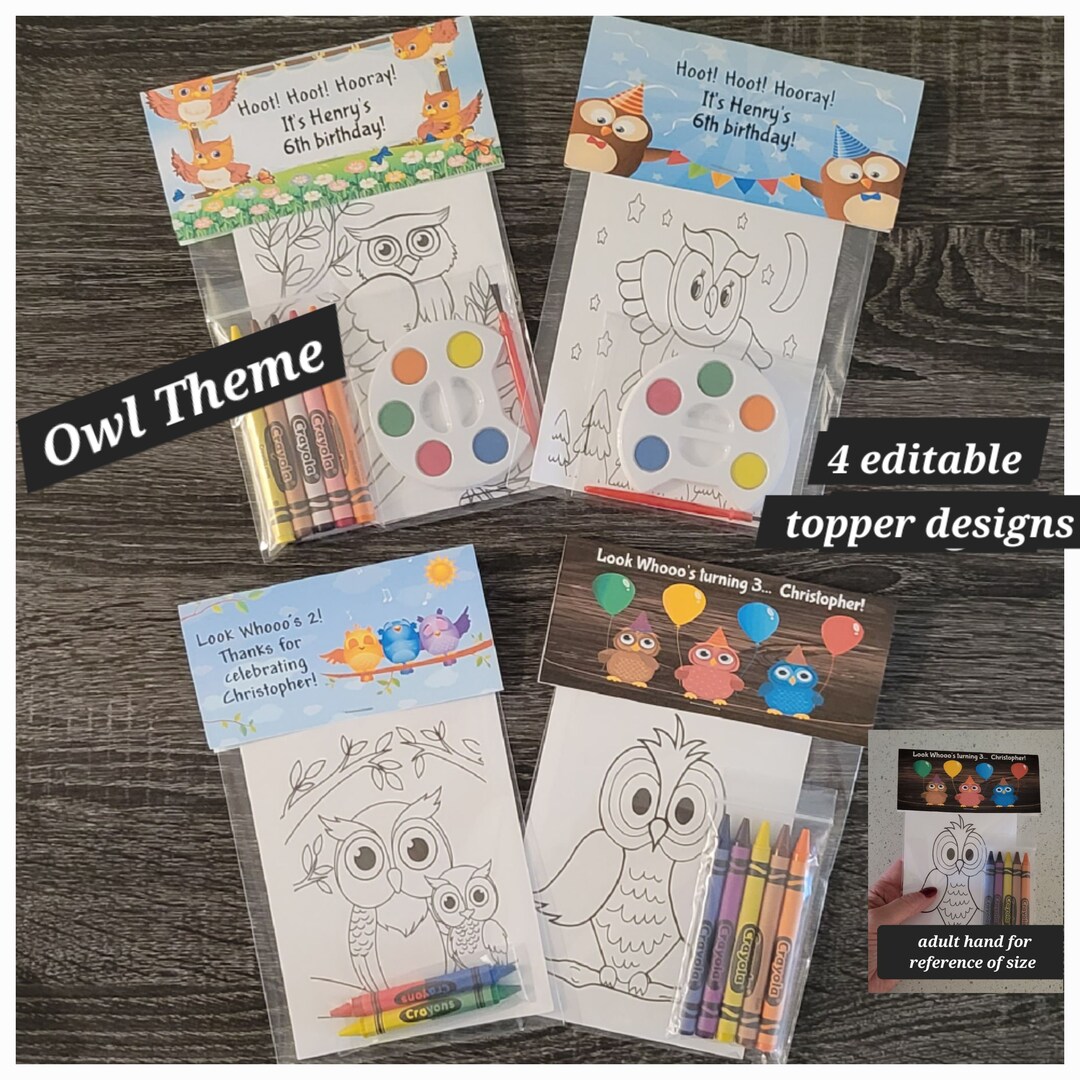 Owl Party Favors Crayons or Painting Favor Bags. 1 Bag 1 Child Includes ...