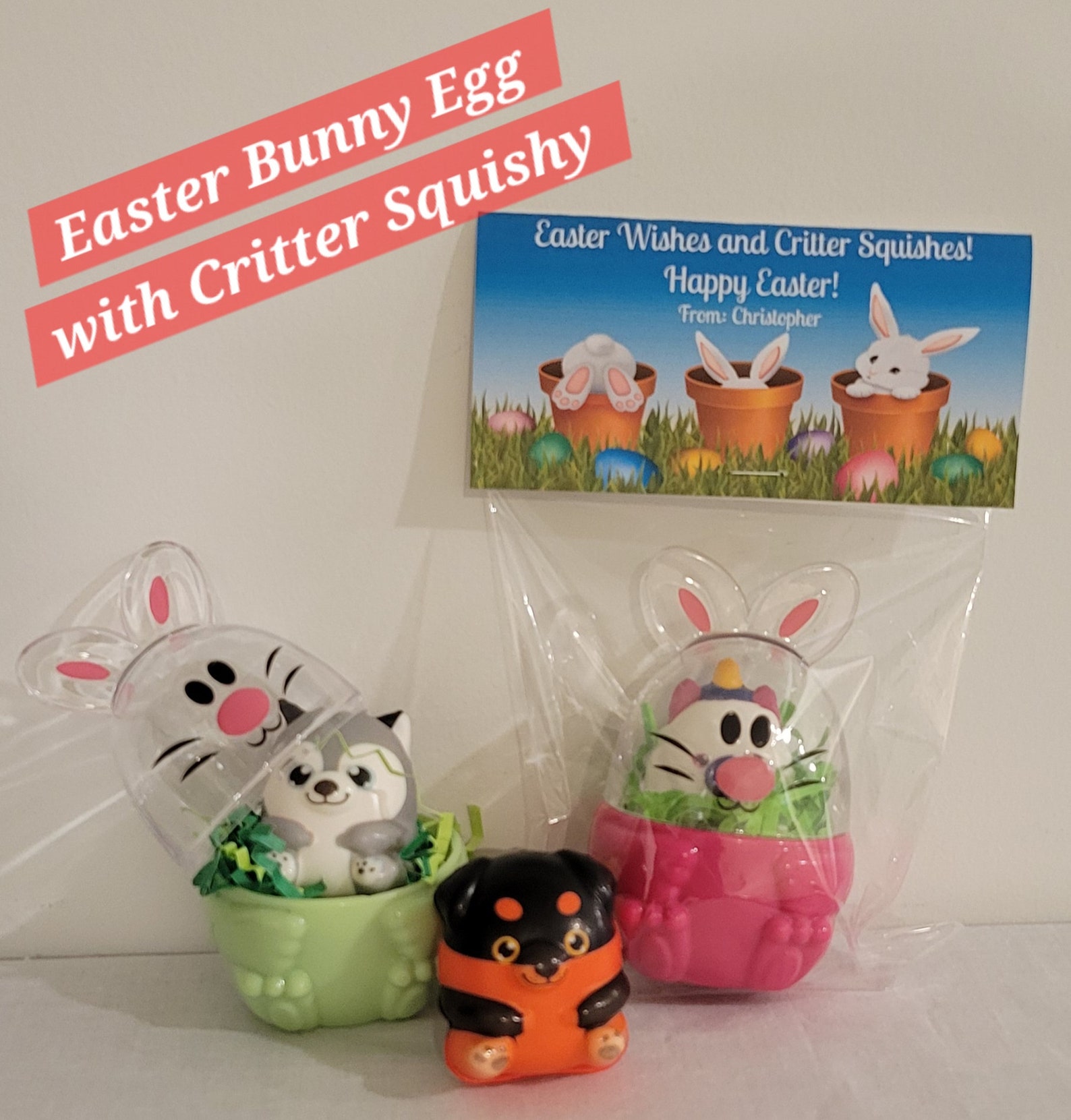 Bunny Easter Egg With Critter Squishy, Easter Basket Filler, Easter ...