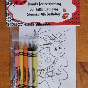 Ladybug Theme Party Favor Bags. 1 Bag (1 Child) Includes 8-4x6 Cards ...