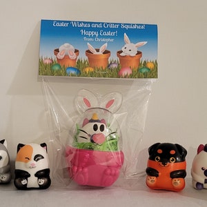 Bunny Easter Egg With Critter Squishy, Easter Basket Filler, Easter ...