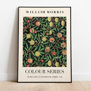 William Morris Colour Series Exhibition Print | HIGH QUALITY PRINT ...