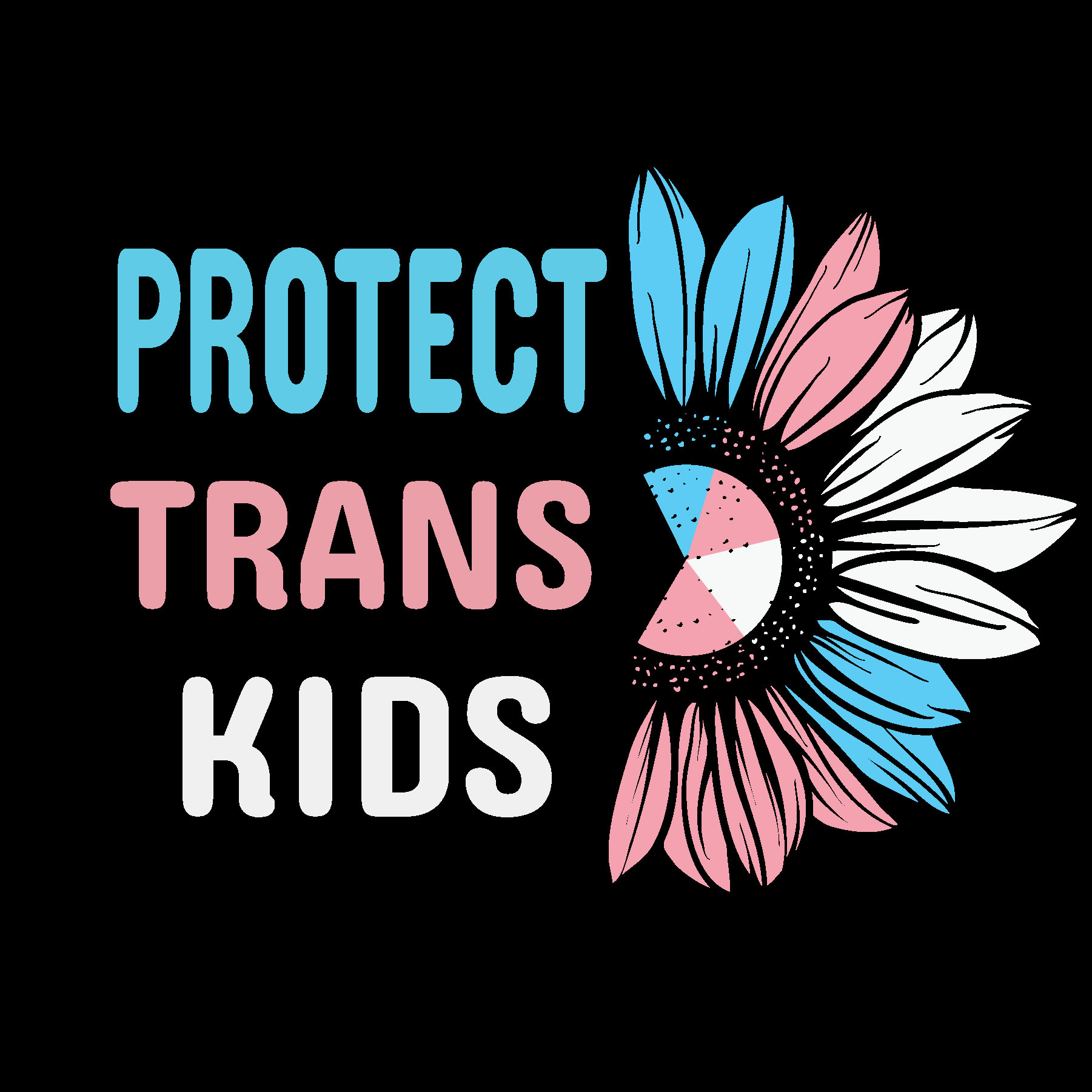 Protect Trans Kids Trans Flag SVG PNG Protect Trans Youth - Etsy UK
