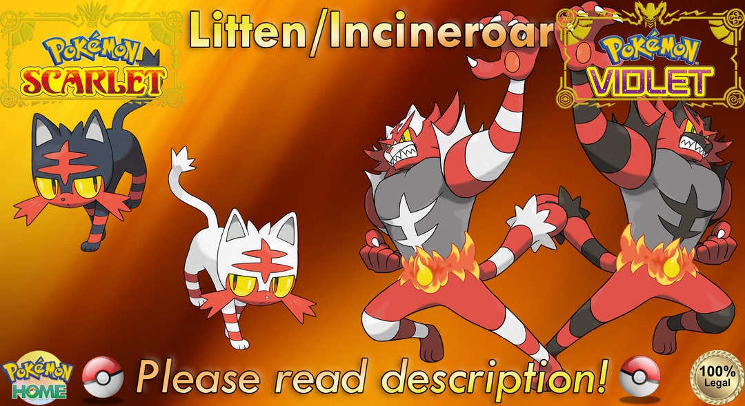 Shiny/non-shiny Litten/incineroar 6IV Pokémon Scarlet/violet 100% Legal ...