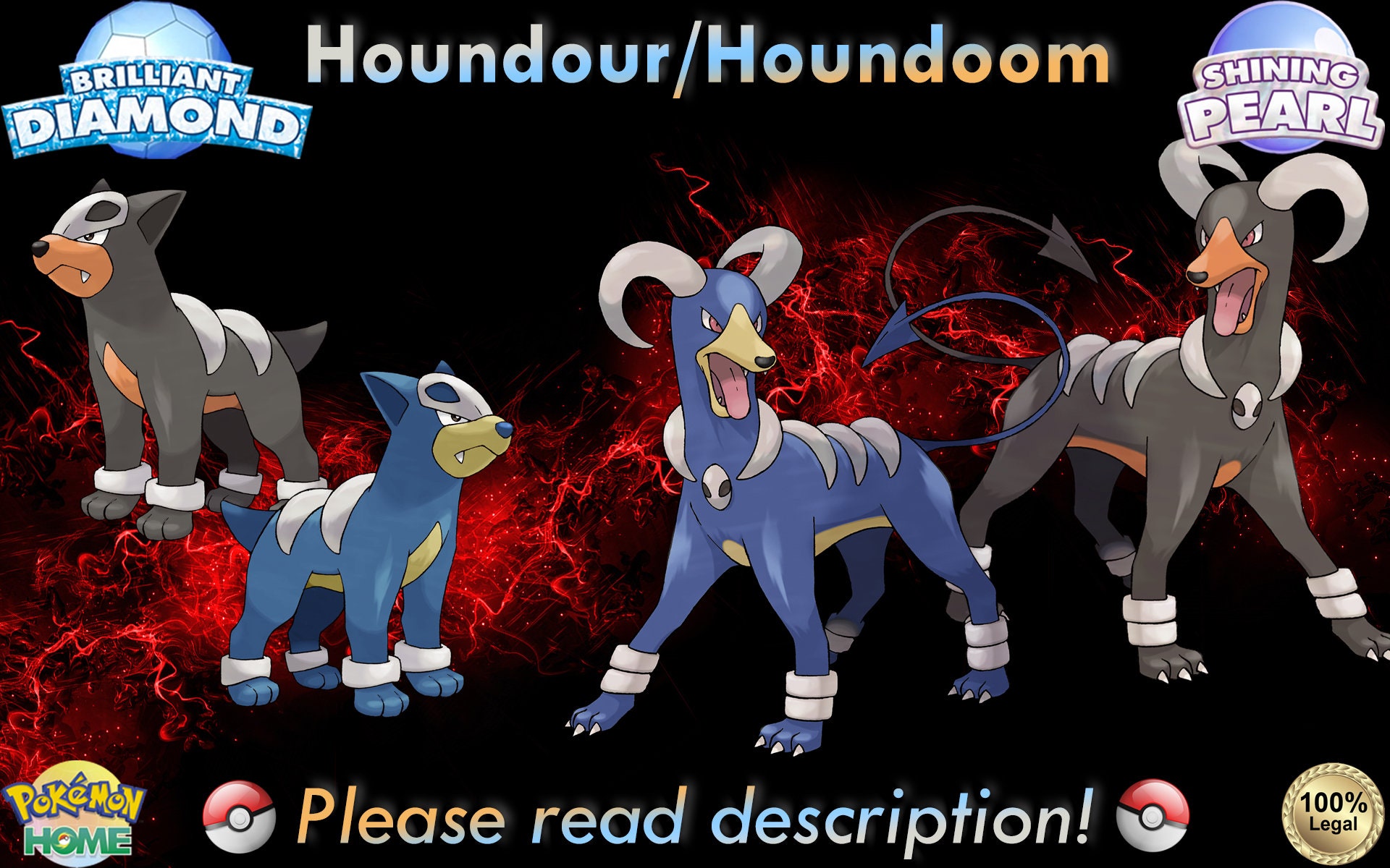 Houndour And Houndoom
