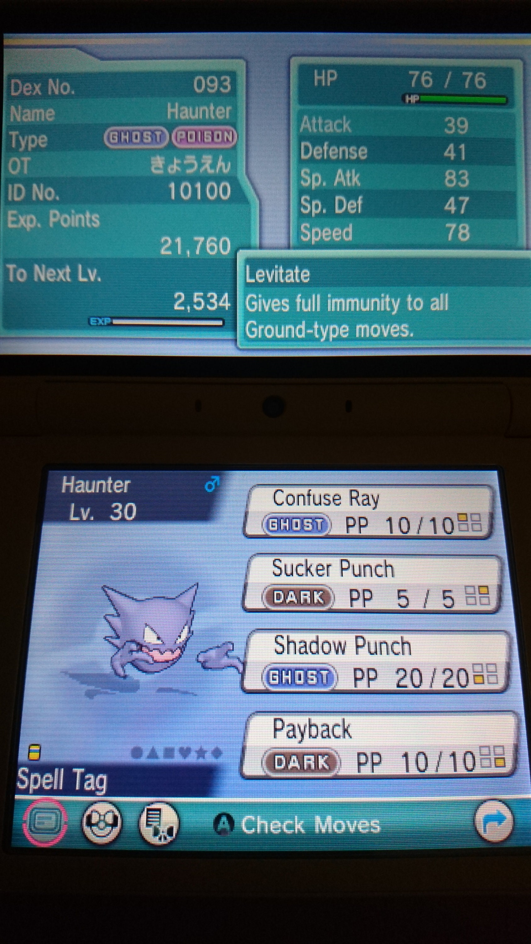 Shiny Haunter Pokemon Y