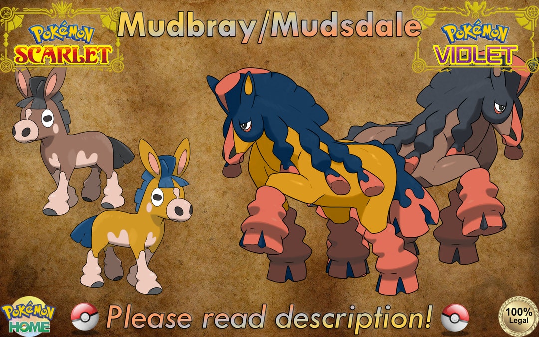 Shiny/non-shiny Mudbray/mudsdale 6IV Pokémon Scarlet/violet - Etsy