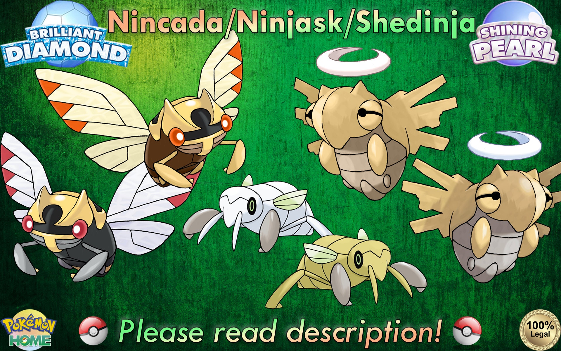 Nincada Evolution