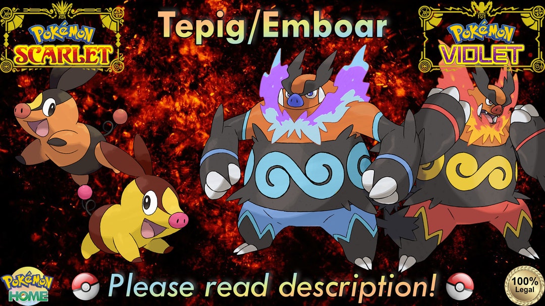 Shiny/non-shiny Tepig/emboar 6IV Pokémon Scarlet/violet 100% Legal - Etsy