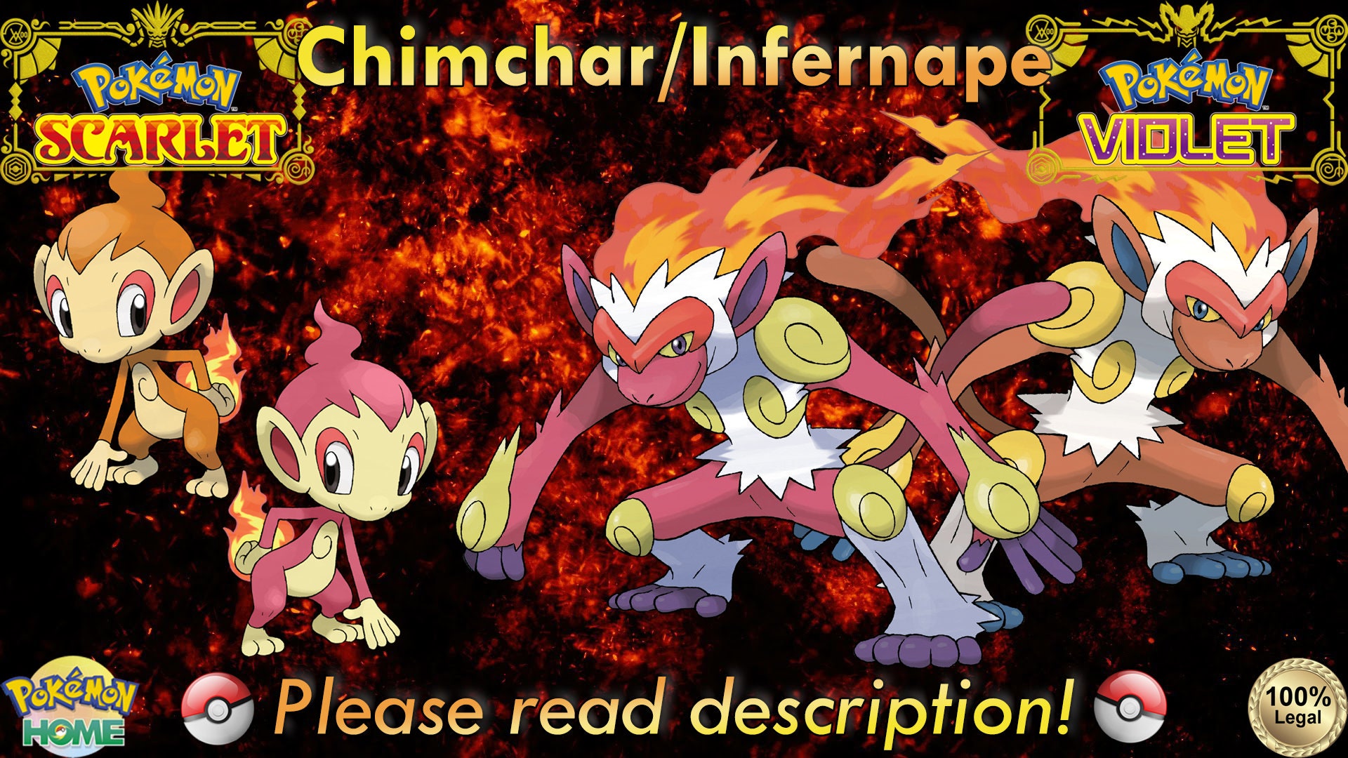 Shiny/non-shiny Chimchar/infernape 6IV Pokémon - Etsy