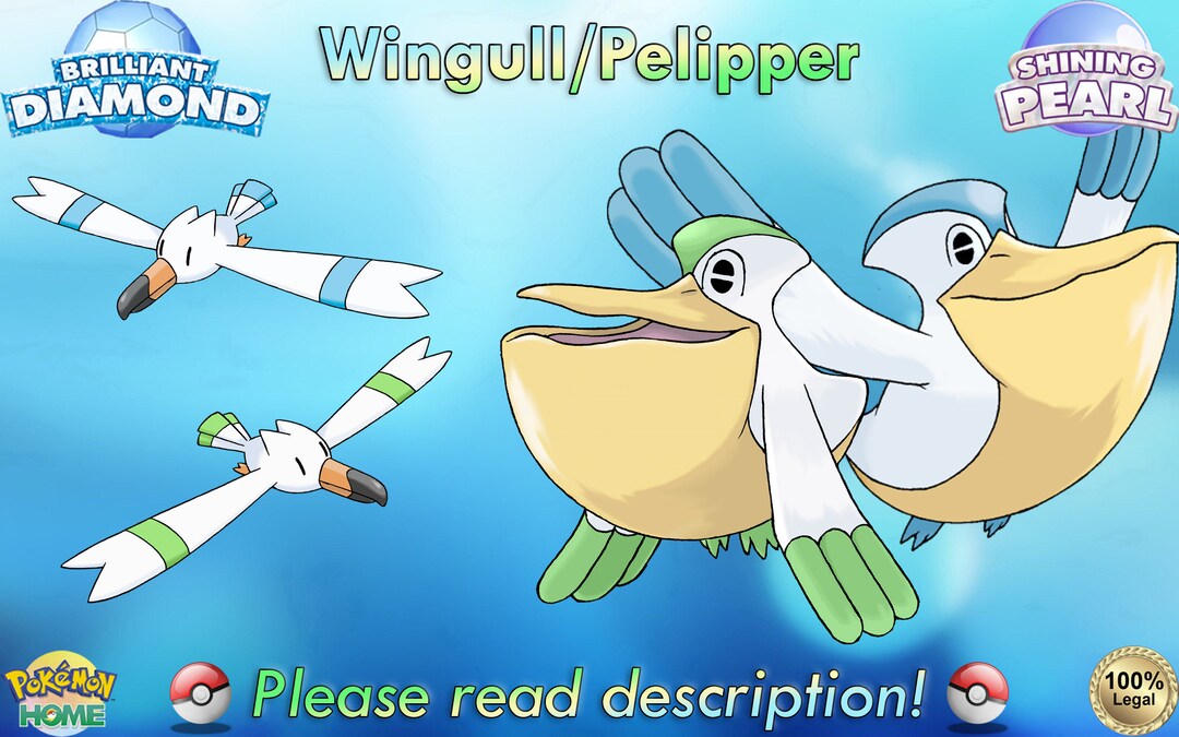 Wingull Evolution