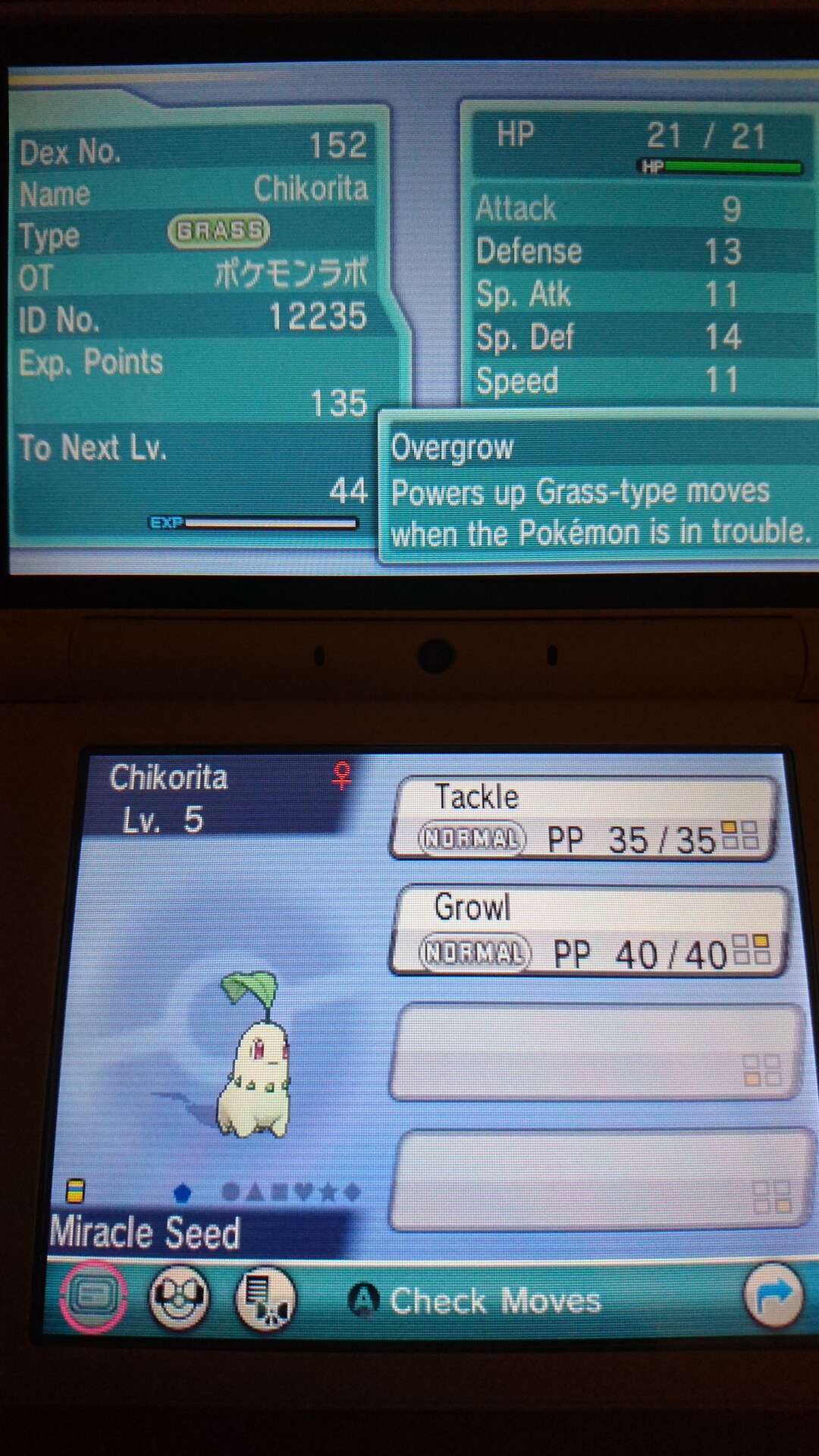 Chikorita Pokémon Lab Johto First Partner EVENT 6IV Bd/sp S/V HOME 100% ...
