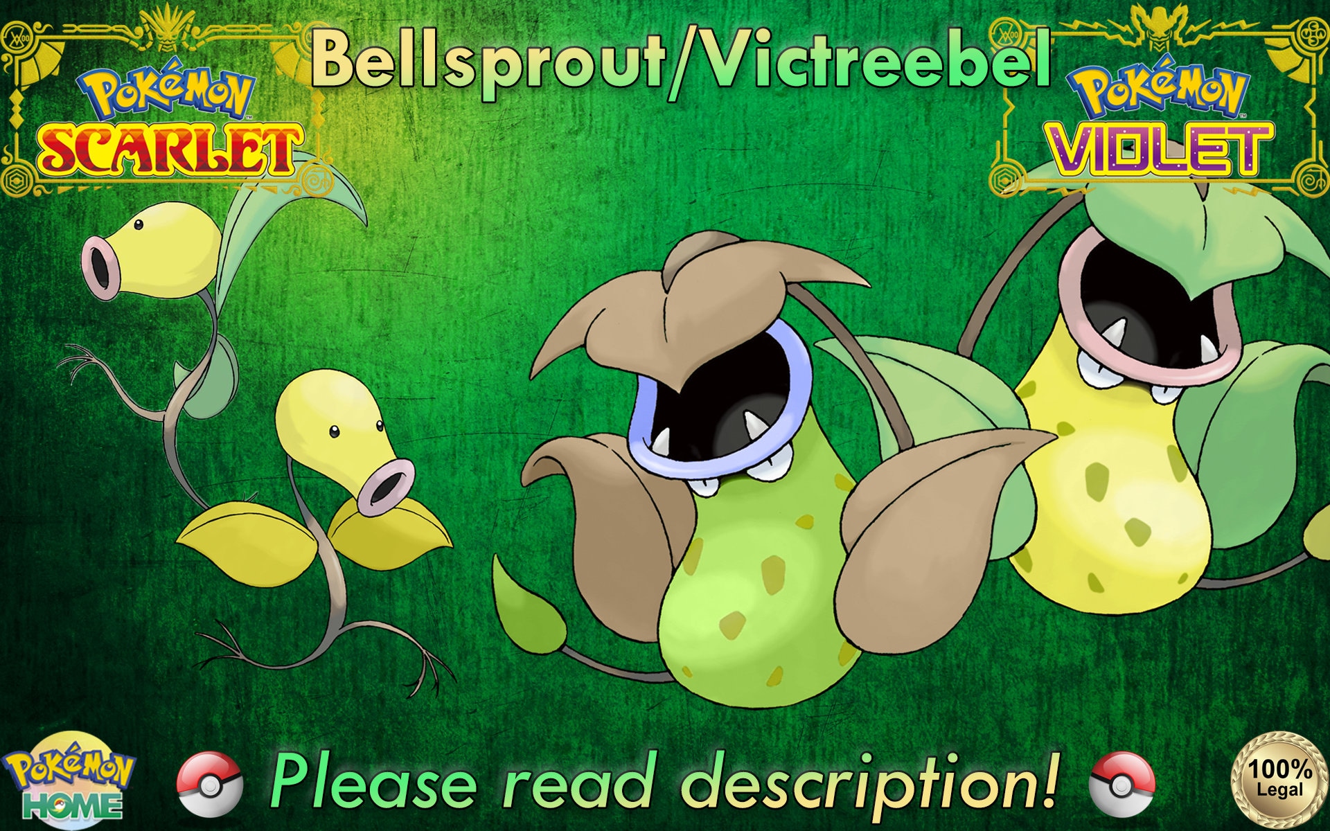 Bellsprout Evolution Chain