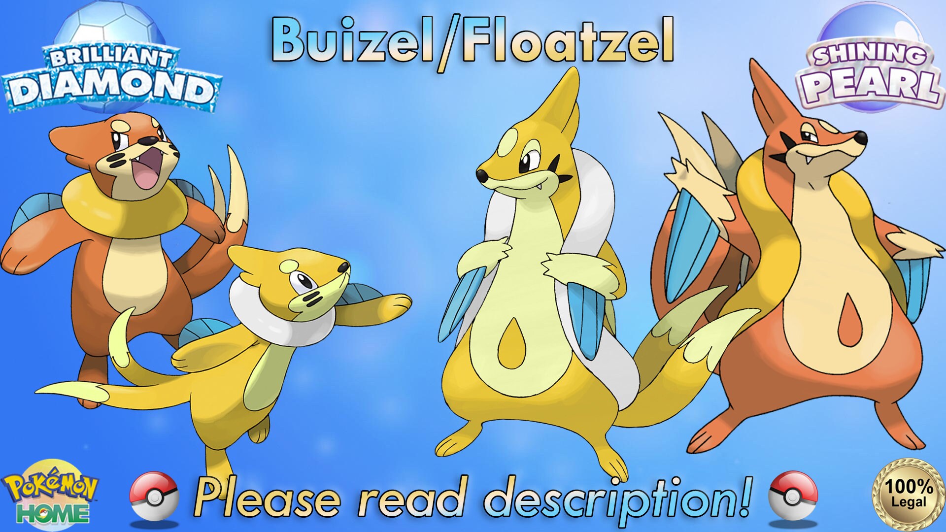 Floatzel Evolution