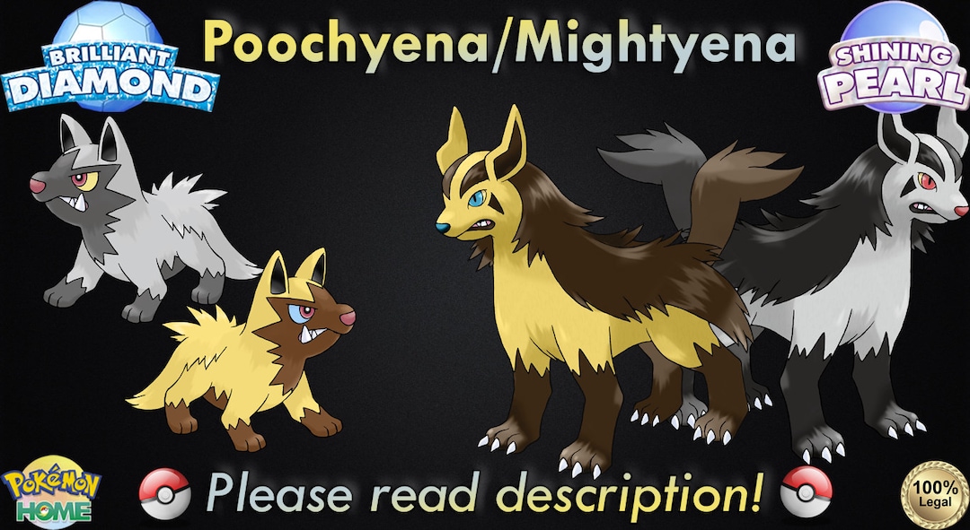 Shiny/non-shiny Poochyena/mightyena 6IV Brilliant - Etsy