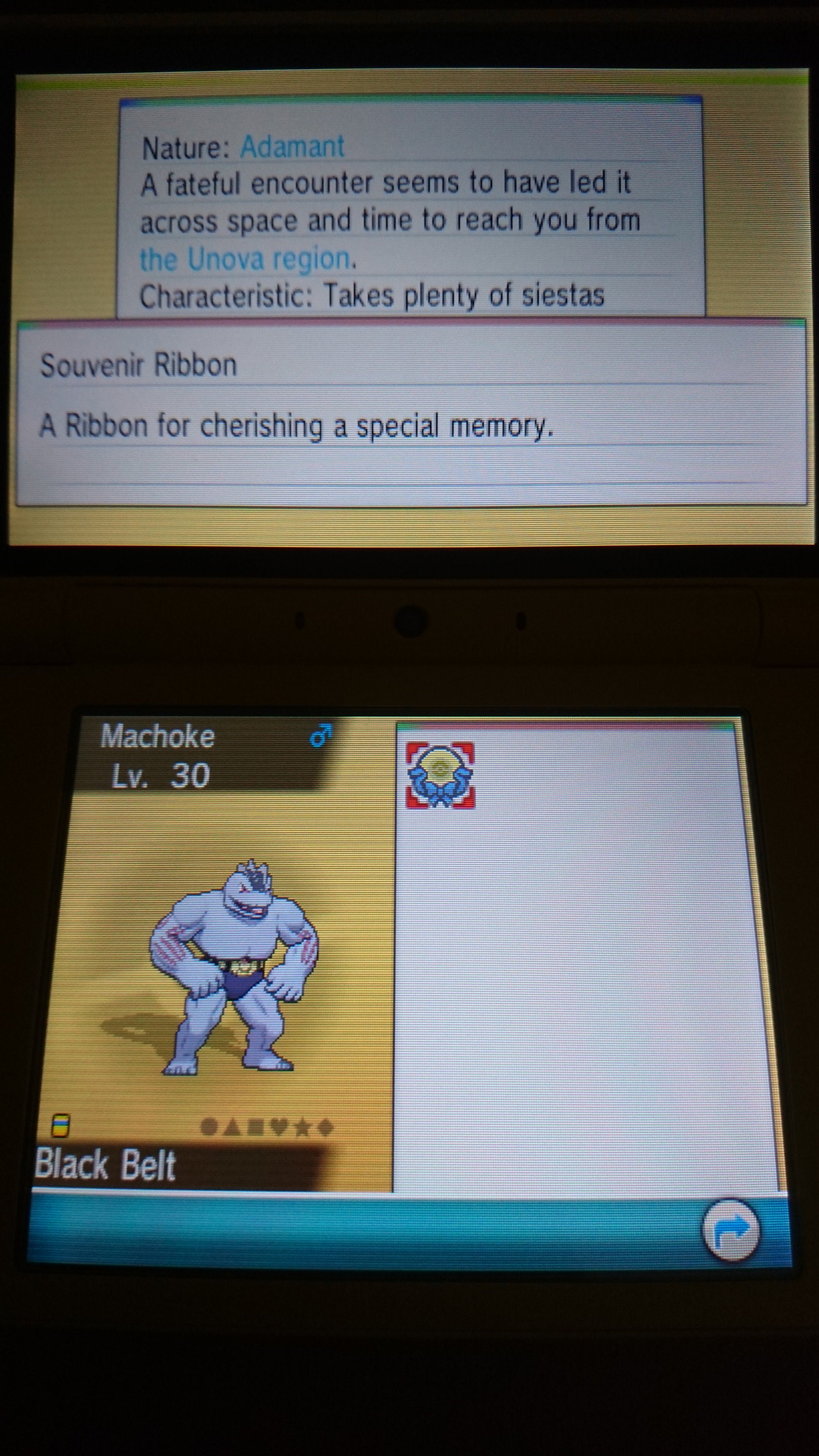 Shiny Machoke X And Y