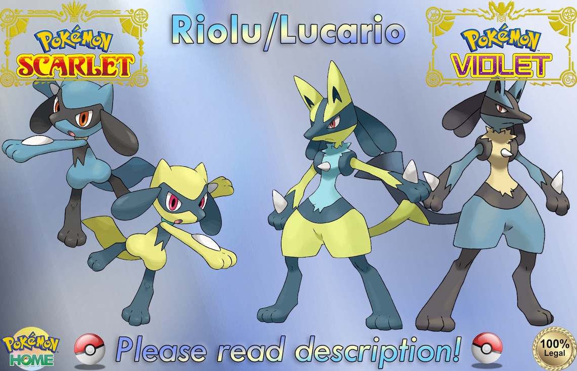 Shiny/non-shiny Riolu/lucario 6IV Pokémon Scarlet/violet - Etsy