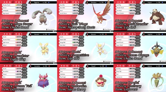 Light Clay Pokemon Item