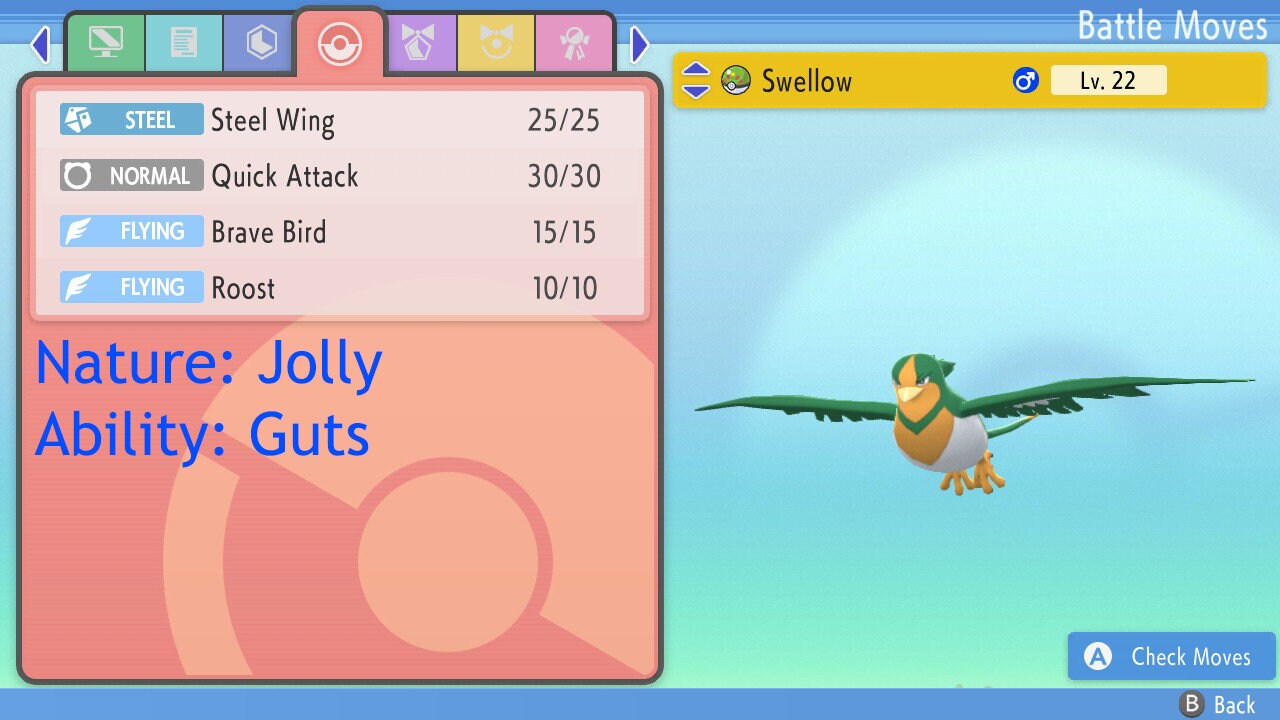 Taillow Evolution Level