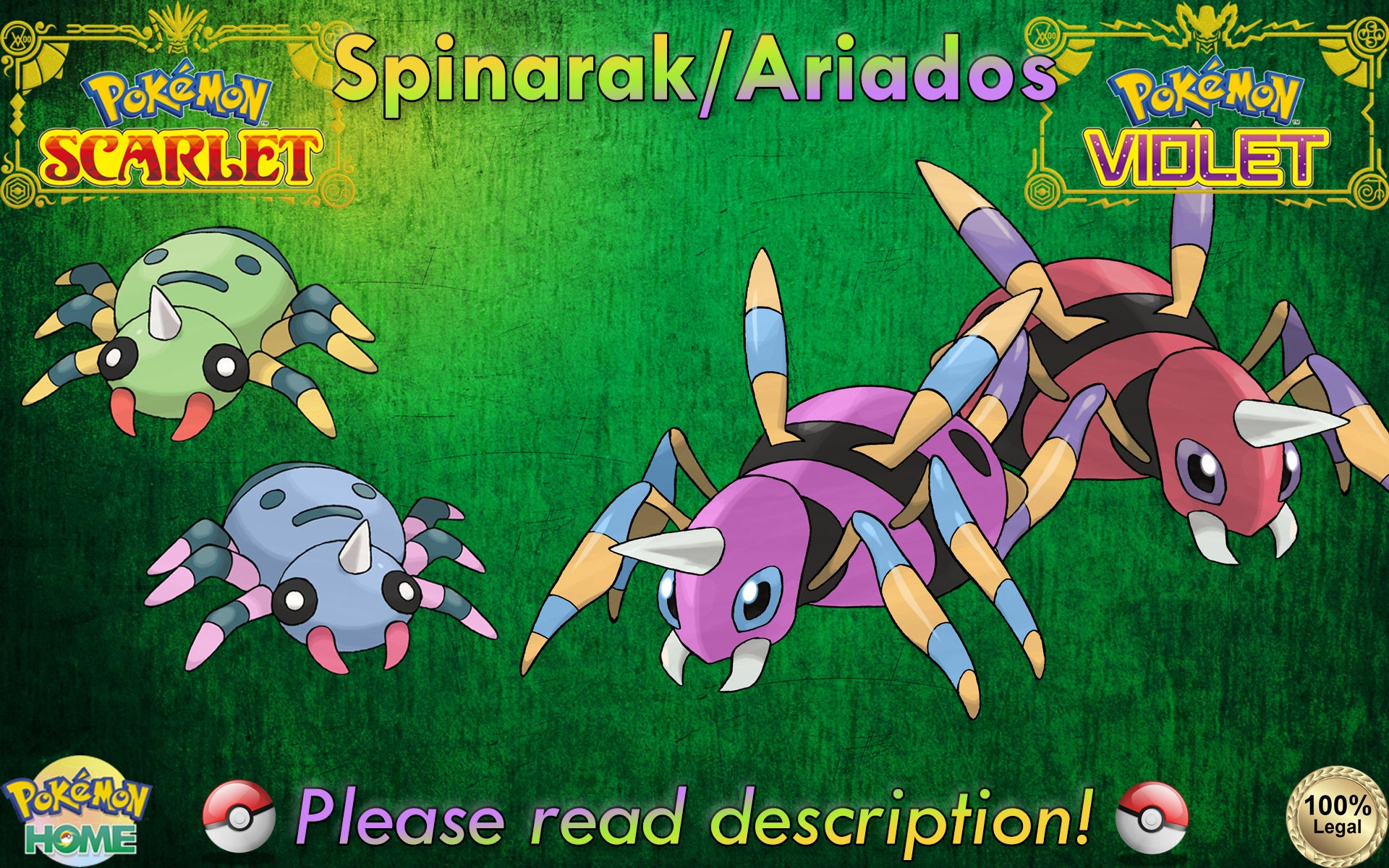 Pokemon Spinarak Evolution