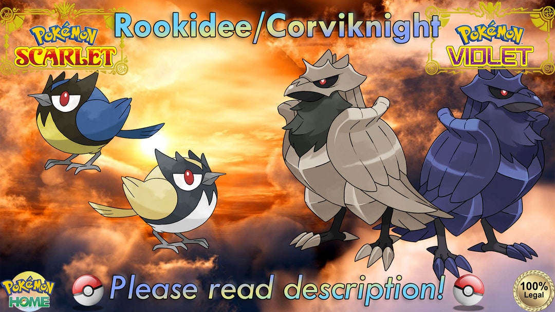 Shiny/non-shiny Rookidee/corviknight 6IV Pokémon - Etsy