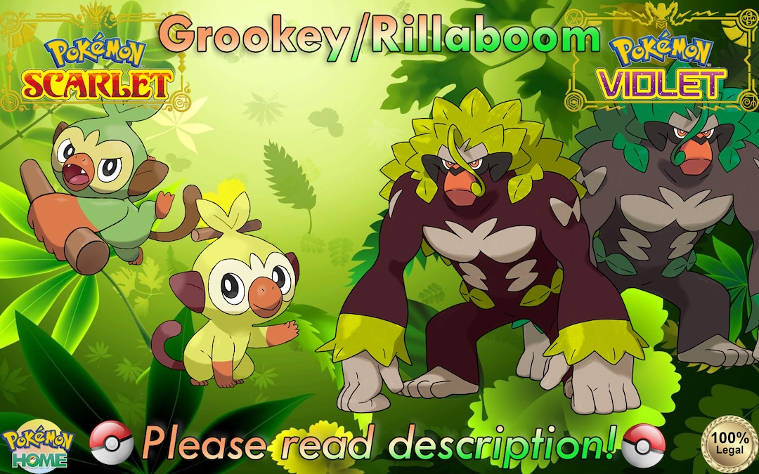 Shiny/non-shiny Grookey/rillaboom 6IV Pokémon Scarlet/violet - Etsy