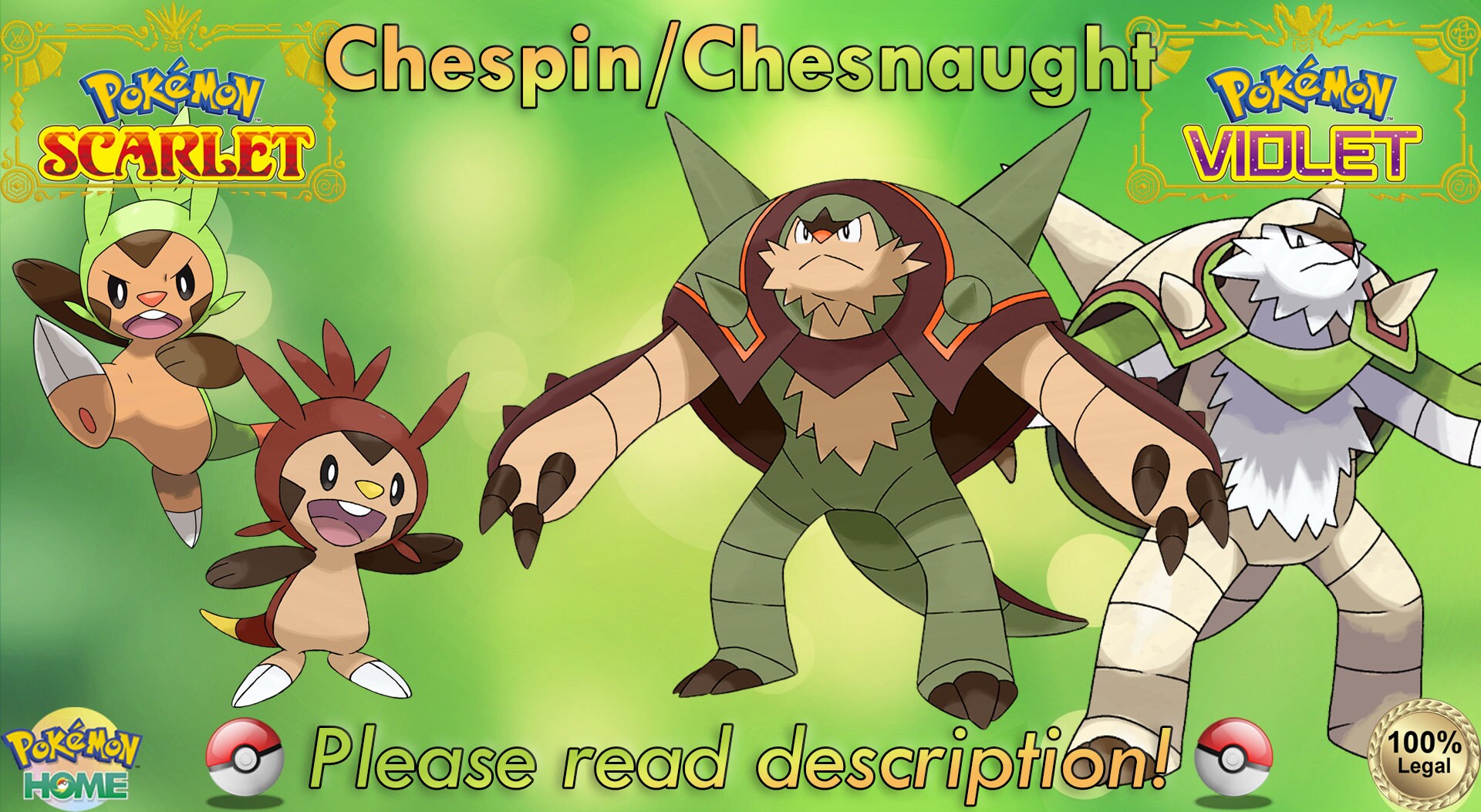 Chespin Evolution Line Real