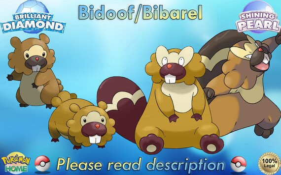 Bidoof Evolution