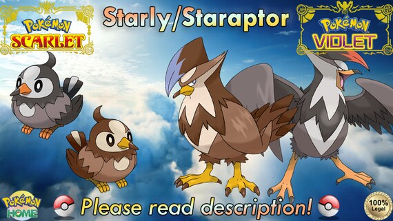 Staraptor Pokemon