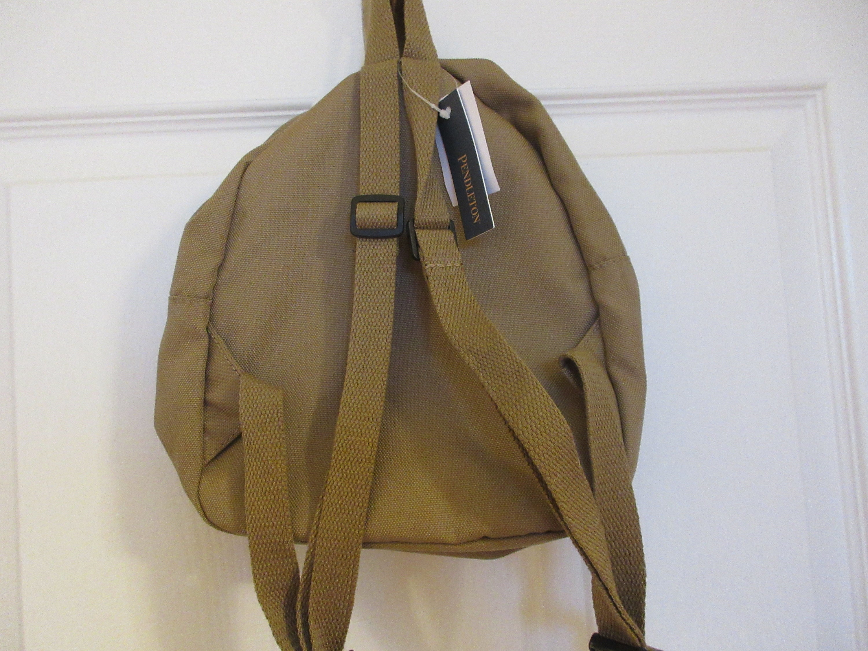 Pendleton Canopy Canvas harding Aqua Mini Backpack - Etsy