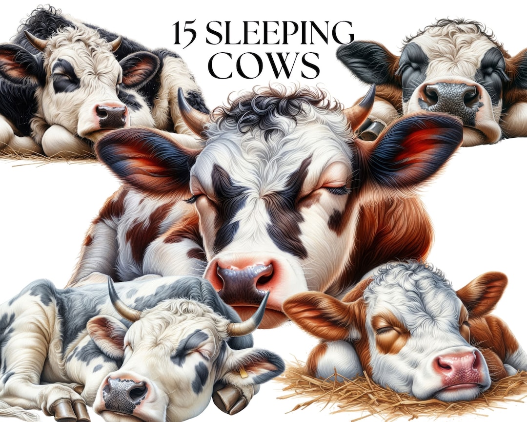 Watercolor Sleeping Cow Clipart PNG, Cute Animal Clipart, Cow Farm ...